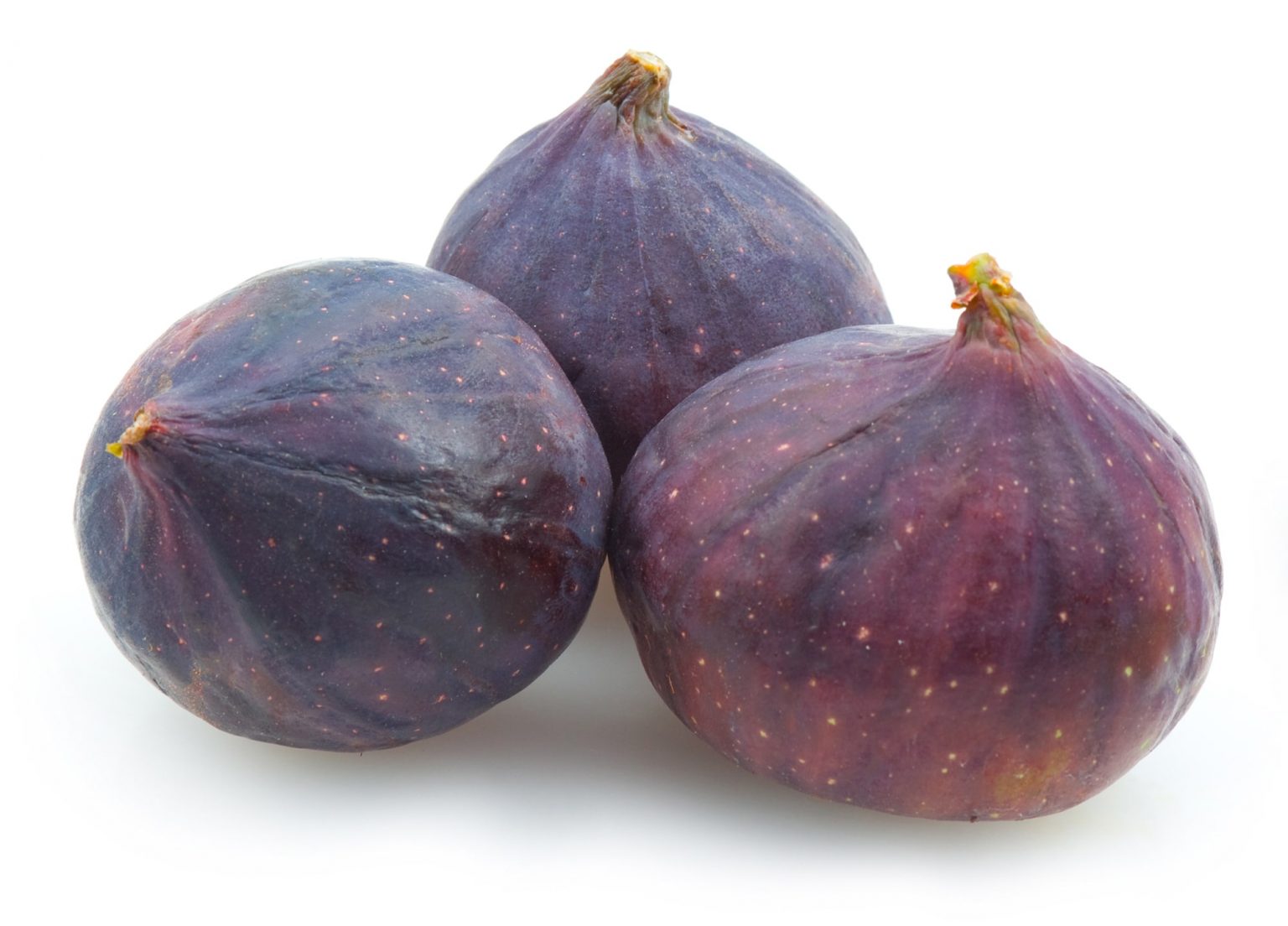 İncir Resimleri - GA Su Arıtma Cihazları