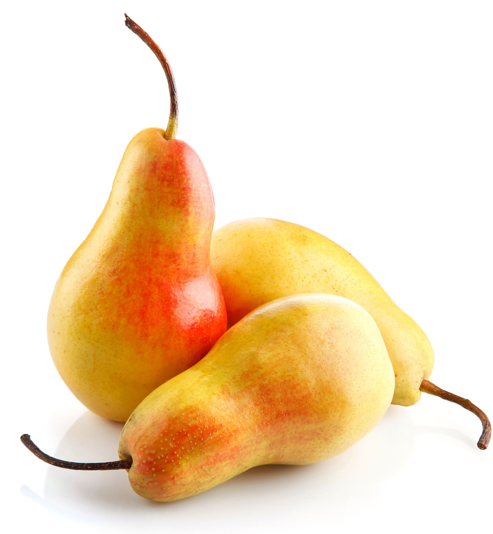 Armut Resimleri - GA Su Arıtma Cihazları